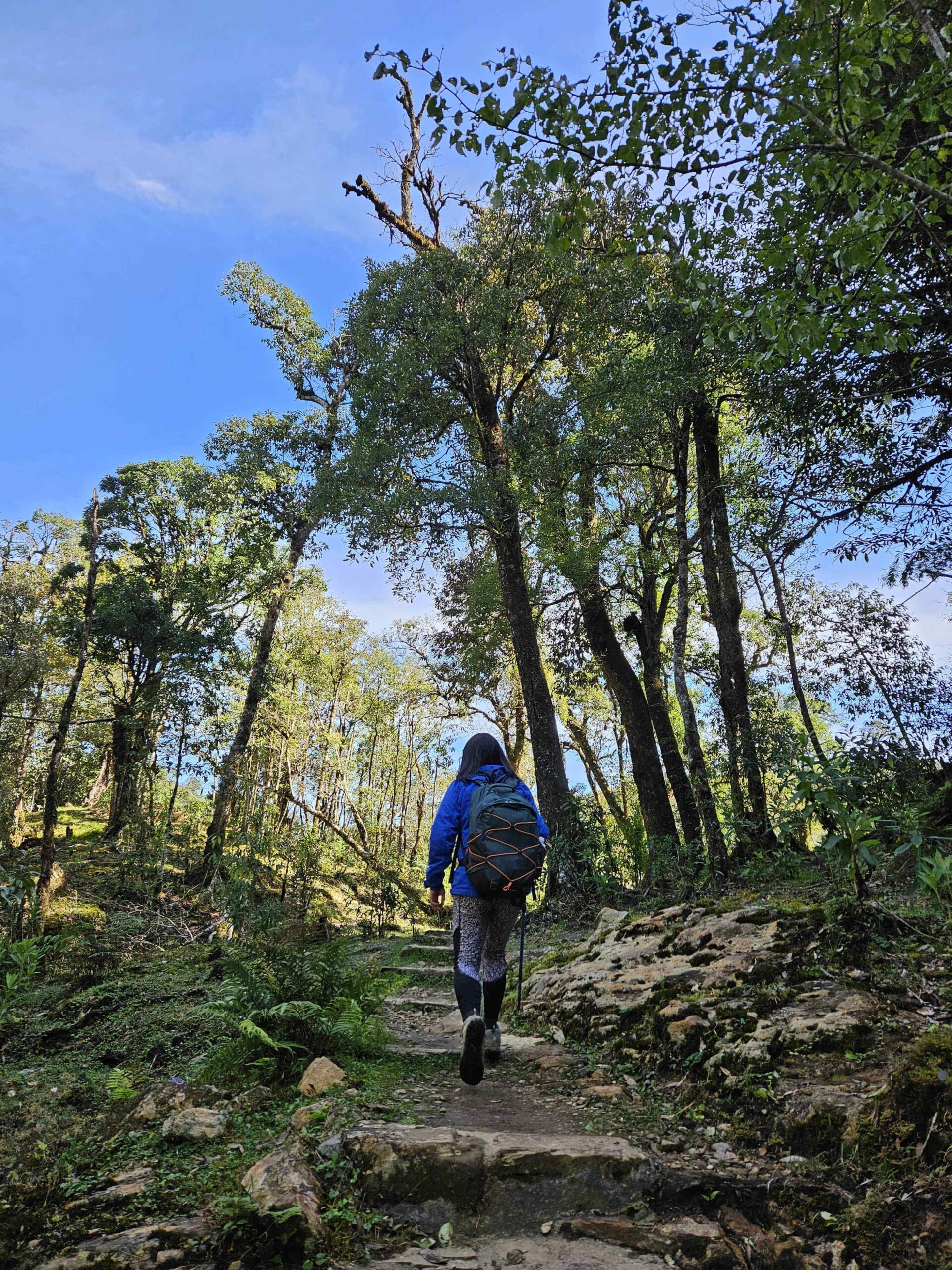 The Complete Fansipan Trekking Handbook: Guide or No Guide? - Explore ...